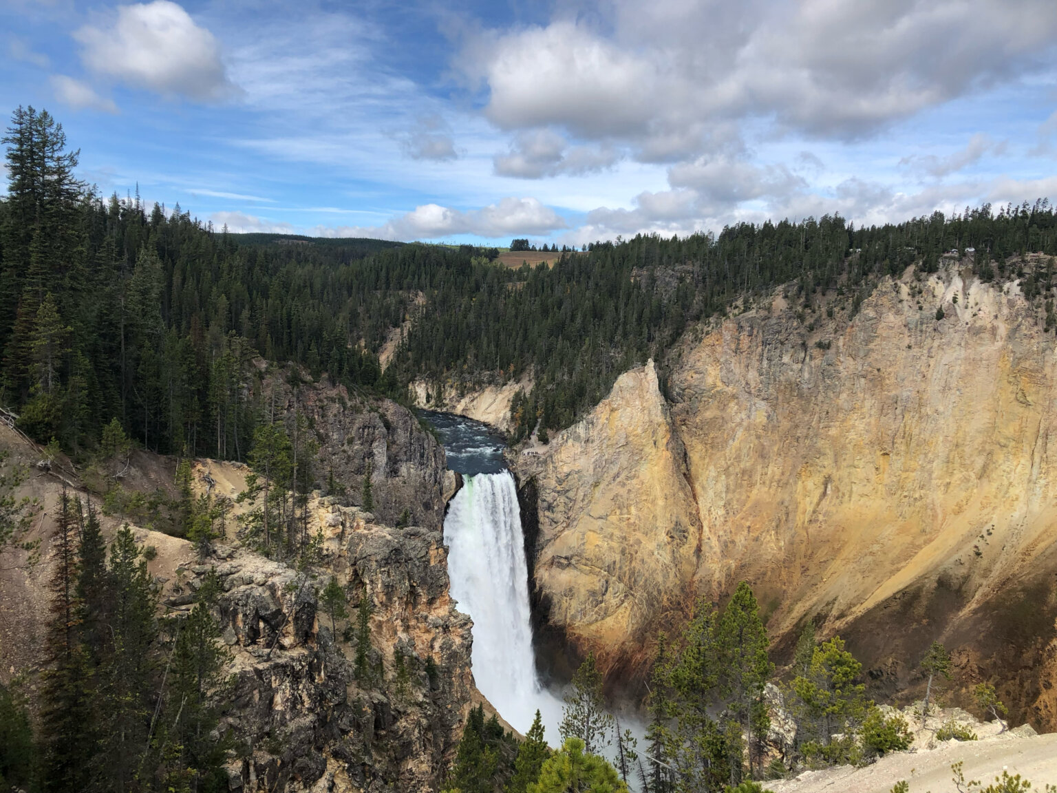 【イエローストーン】旅行計画中の方必見！レンタカーの借り方からモデルコースまで紹介！